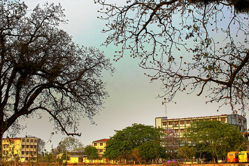 Ramgovind Group of Colleges, Koderma | Creating Difference